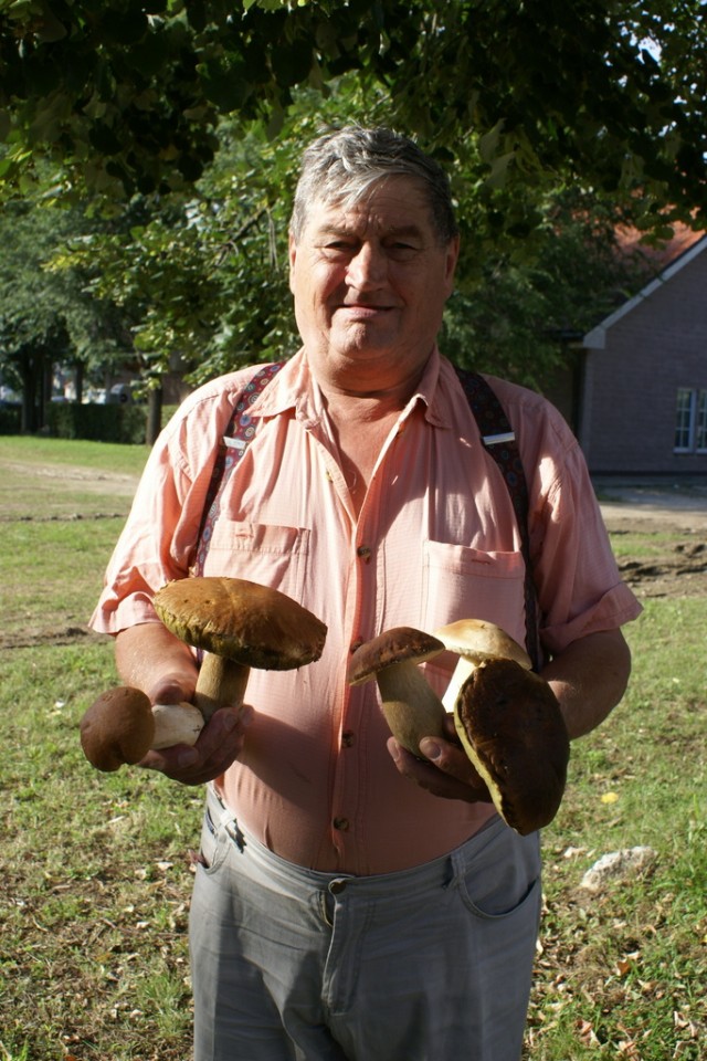 Jurčki na Goričkem že rastejo! - Pomurec.com